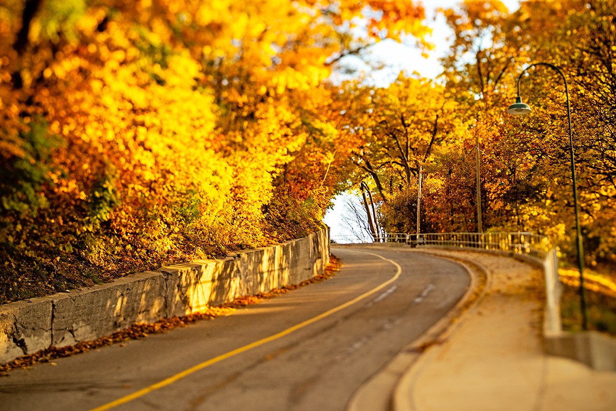 October Flame: Fall Colors in Michigan | Someday Today